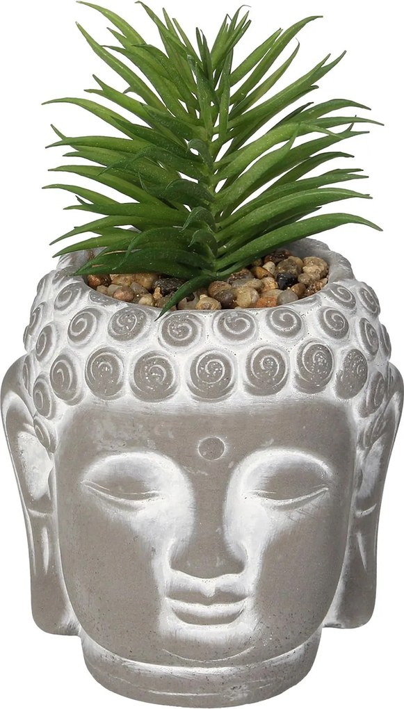 Dekorace Succulent I Buddha 17cm