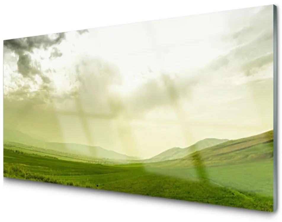 Skleněný obraz Louka Příroda Zelený Výhled