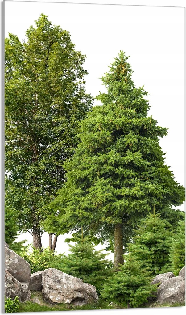 Skleněná Deska Na Krájení 30x52 Stromy Do Kuchyně