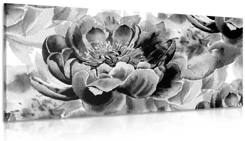 Obraz pivoňky rozkvetlé v černobílém provedení - 120x60 cm