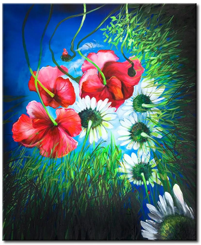 Obraz Polní květiny