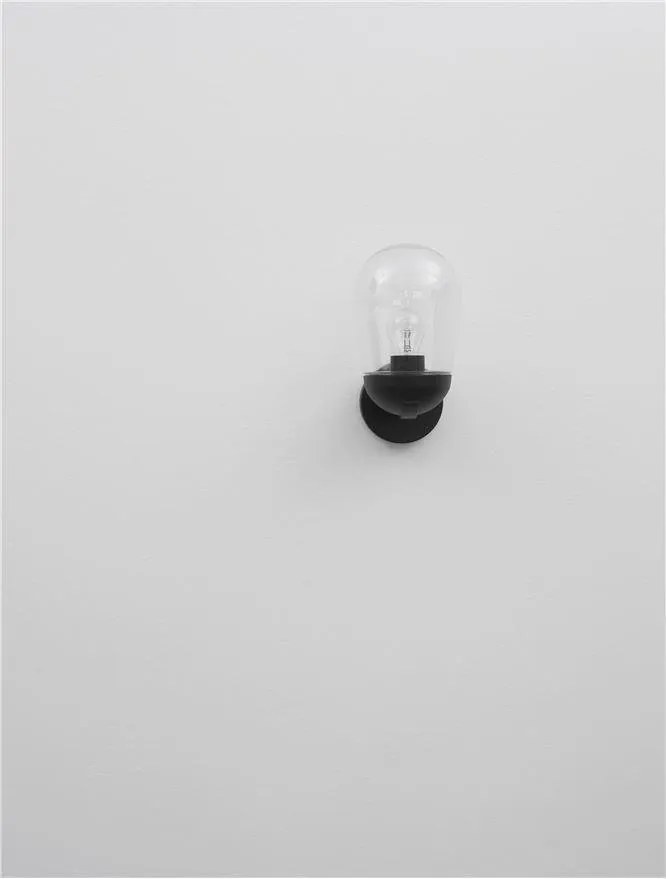 NV 9060194 Venkovní nástěnné svítidlo OMIKA tmavě šedý hliník a čiré sklo E27 1x12W 220-240V bez žárovky IP54 - NOVA LUCE