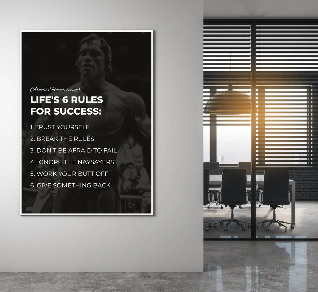 Pixada Arnoldova pravidla úspěchu - motivační obraz Velikost: A3 - 29,7x42 cm, Volba rámu: plakát bez rámu