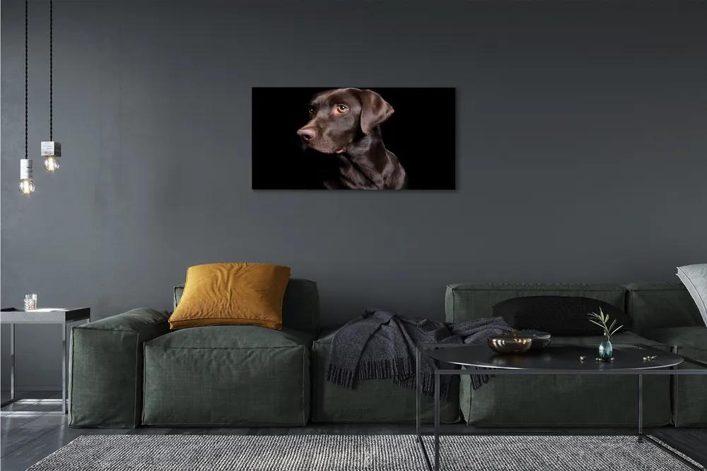 Obrazy na plátně hnědý pes 100x50 cm