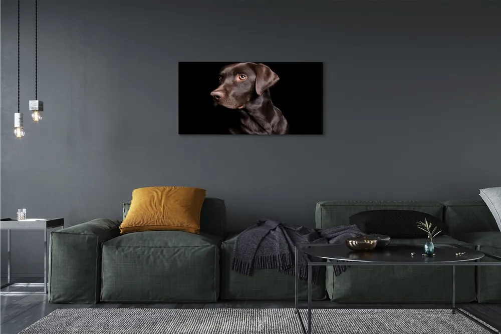 Obrazy na plátně hnědý pes 120x60 cm