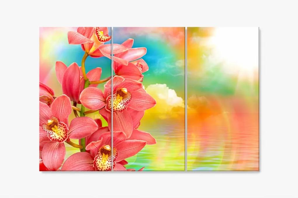 Malvis ® Vícedílný obraz - Orchidej a duha Velikost: 90x60 cm