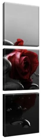 Obraz na plátně Červené růže a kameny 30x90cm 1705A_3V