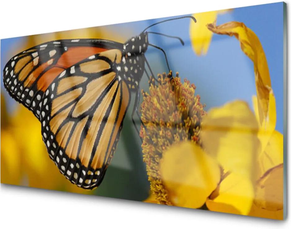 Skleněný obraz Motýl Květ Příroda
