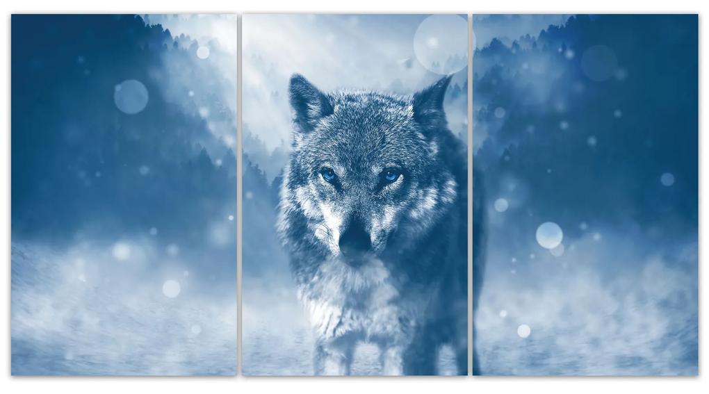 Malvis ® Obraz vlk v zimě Velikost (šířka x výška): třídílný obdélník - 90x60 cm