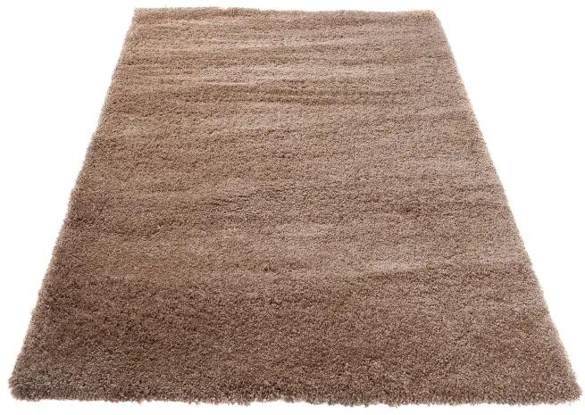 Exkluzivní kusový koberec SHAGGY SKANDY-H HM0000 - 120x170 cm