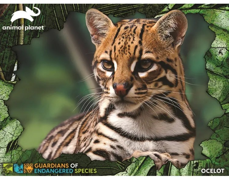 PRIME 3D PUZZLE - GES Ocelot 100 dílků