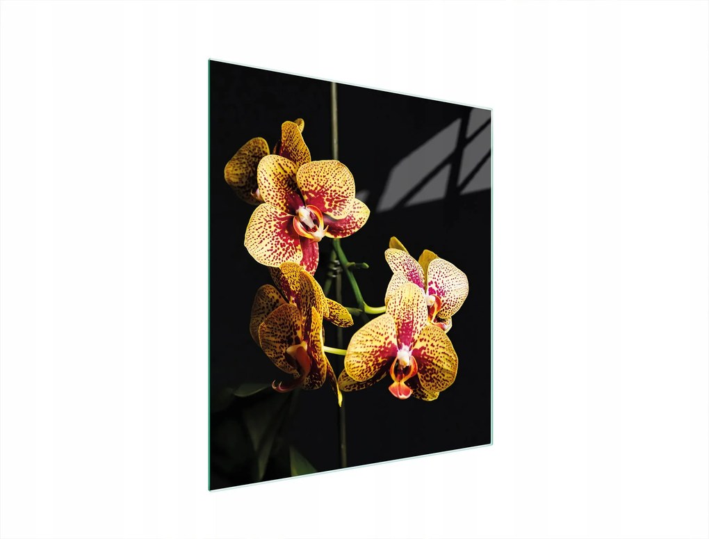 Skleněná Krájecí Deska 45x52 Orchidej Tvrzené Sklo