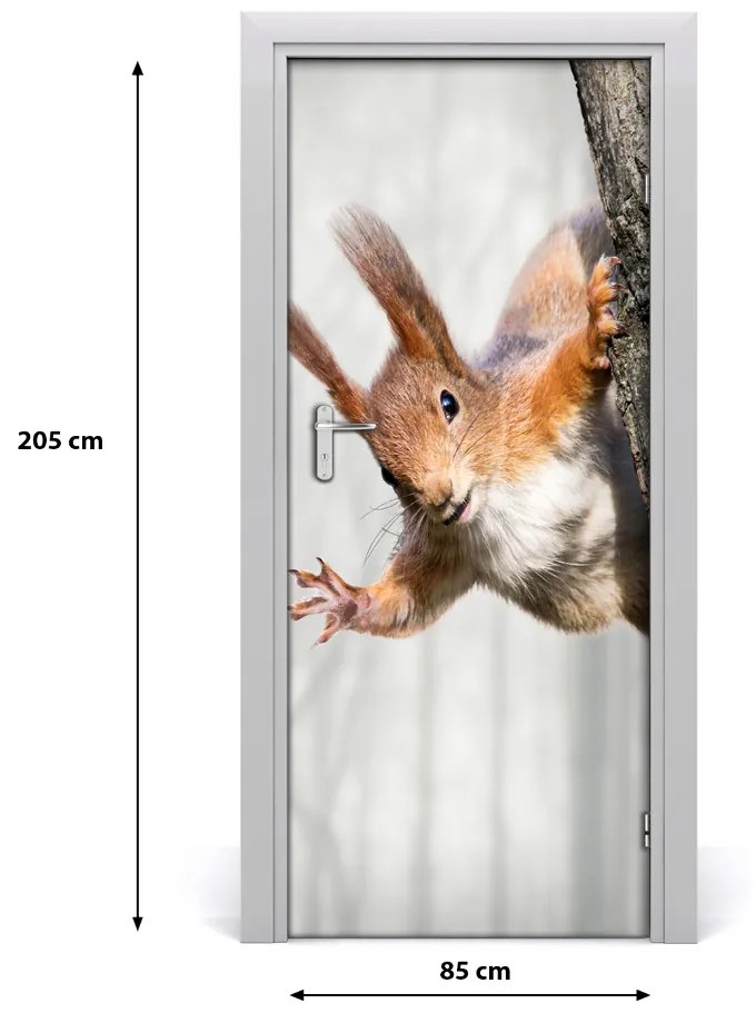Samolepící fototapeta na dveře Veverka na stromě 85x205 cm
