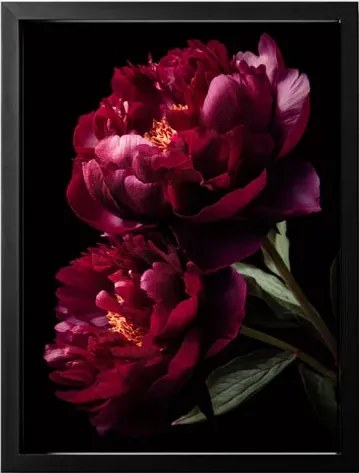 Sametová krása - obraz - Pivoňky v temně elegantním stylu 44 - A4 – 210 × 297 mm - 149 Kč