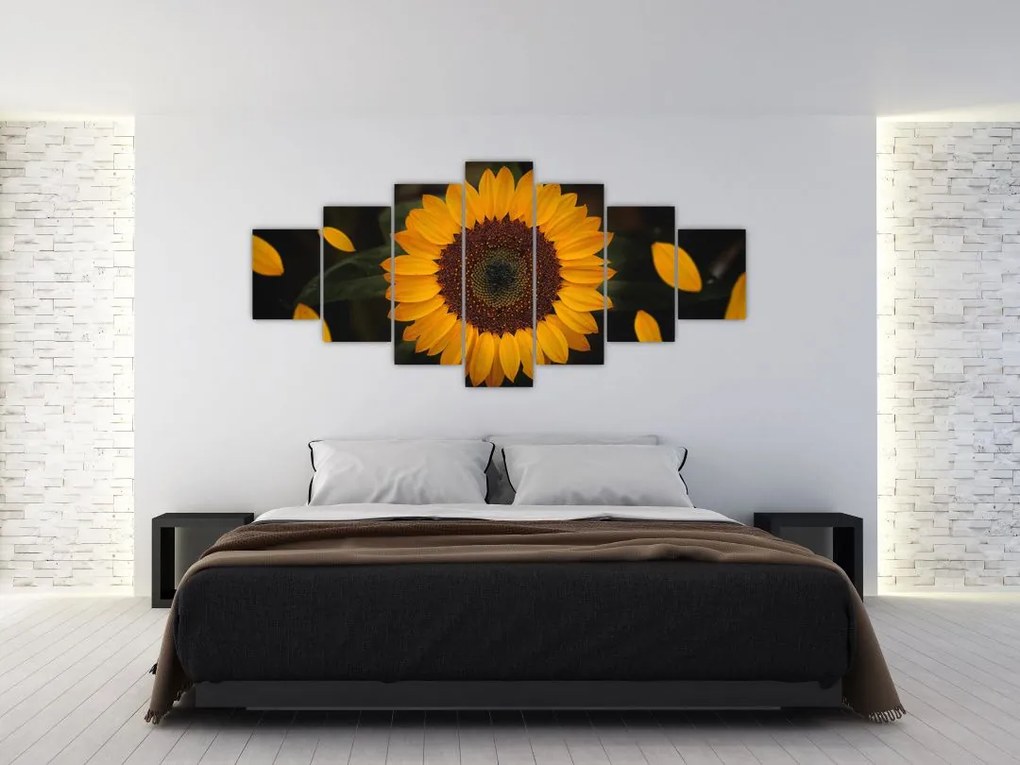 Obraz - Slunečnice a lístky květů (210x100 cm)