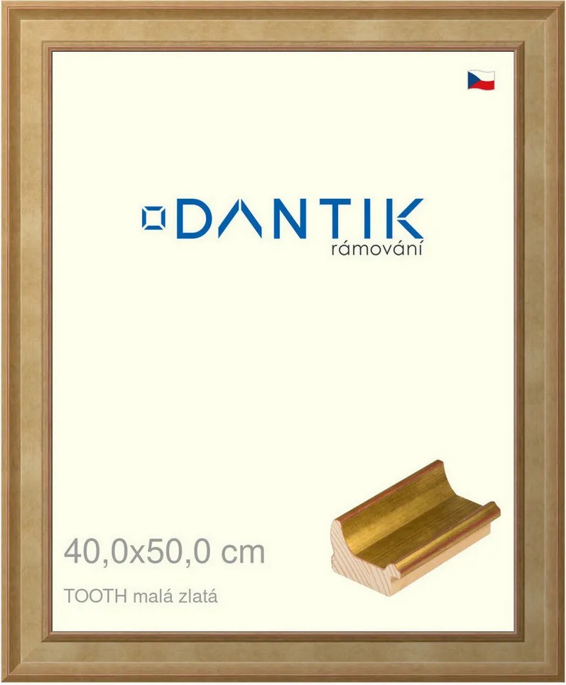 DANTIK rámeček 40x50 | TOOTH malá zlatá (Sklo Čiré)