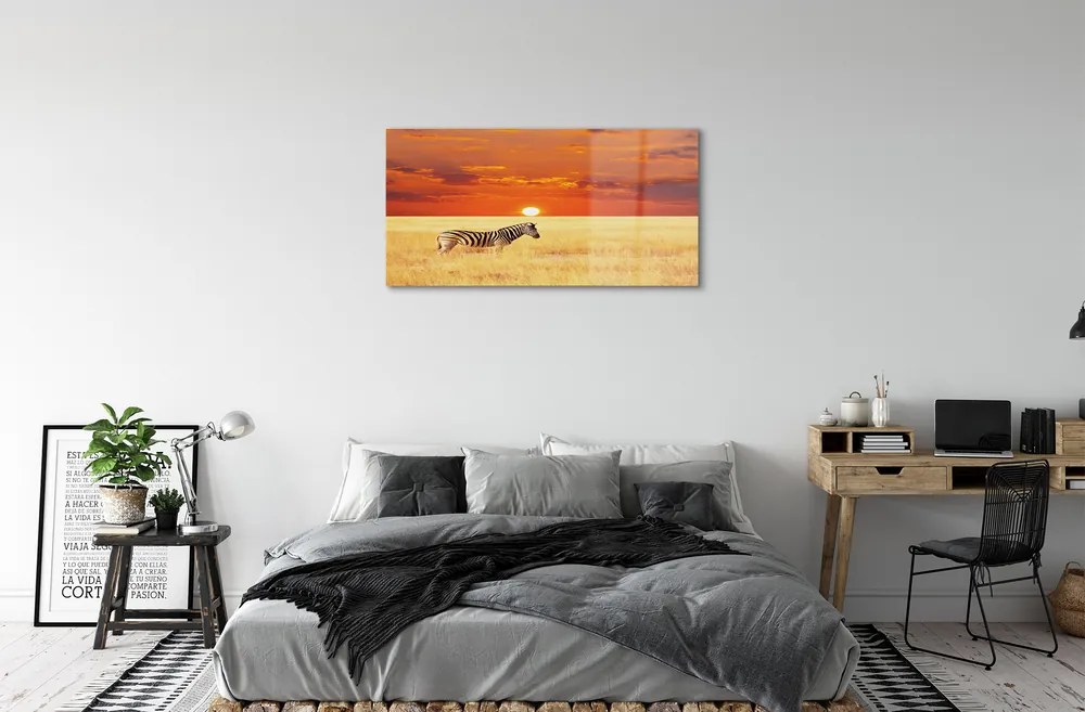 akrylový obraz Zebra pole sunset 100x50 cm