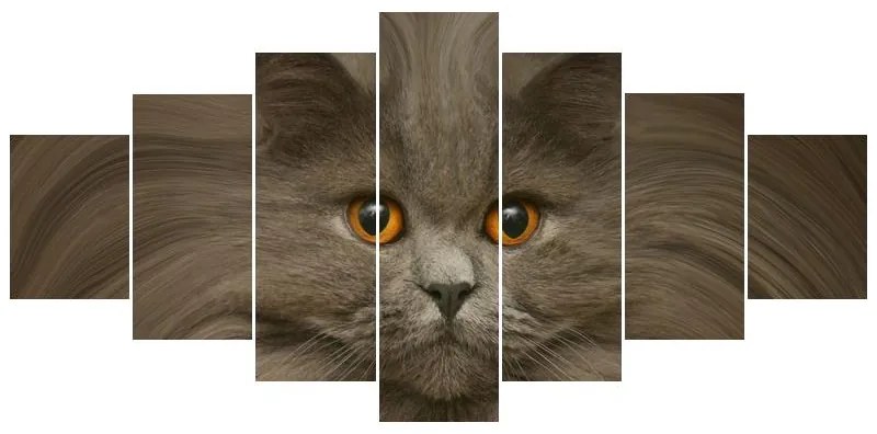 Obraz kočičí hlavy (210x100 cm), 40 dalších rozměrů