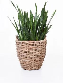 Košík/květináč CESTA 48, vodní hyacint, ⌀ 48 cm, přírodní