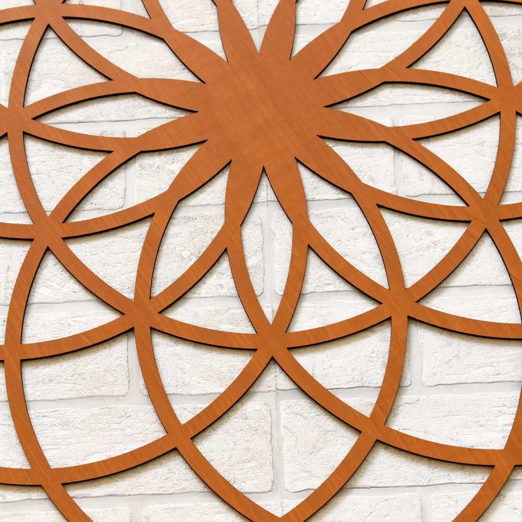 DUBLEZ | Posvátná geometrie - Symbol květ života | Obraz
