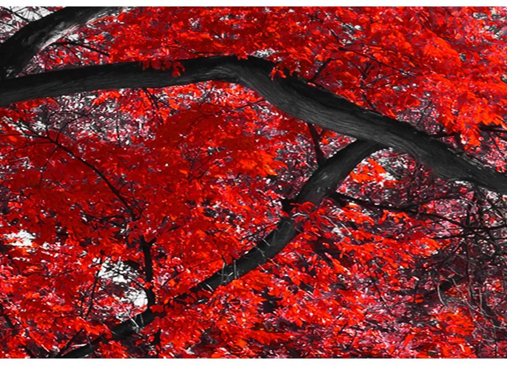Pětidílný obraz červená krajina + háčky, hřebíčky ZDARMA Velikost (šířka x výška): 100x50 cm