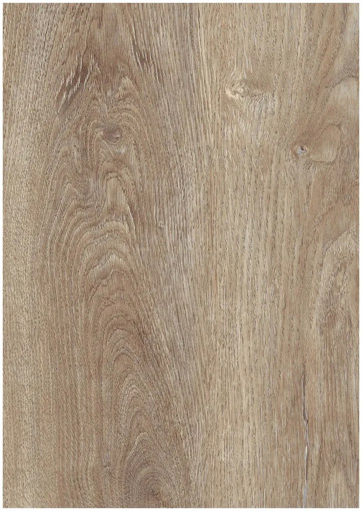 Oneflor Vinylová podlaha lepená ECO 30 064 Authentic Oak Natural - Lepená podlaha