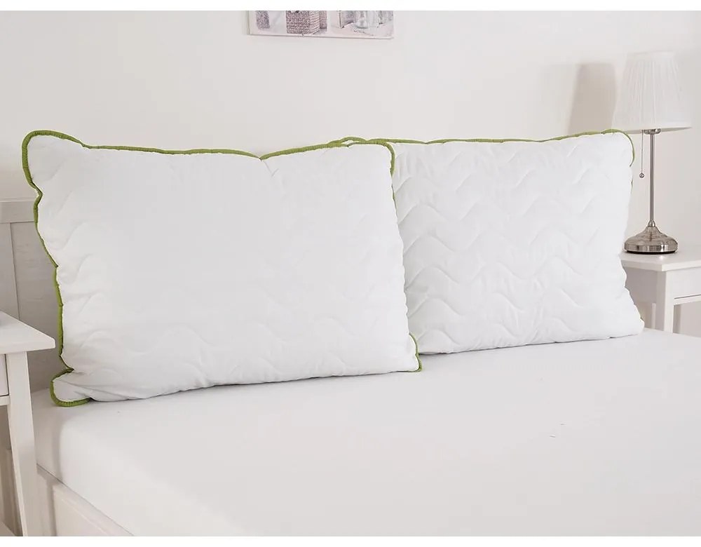 B.E.S. - Petrovice, s.r.o. Polštář Bella Standard Aloe Vera - 70x90