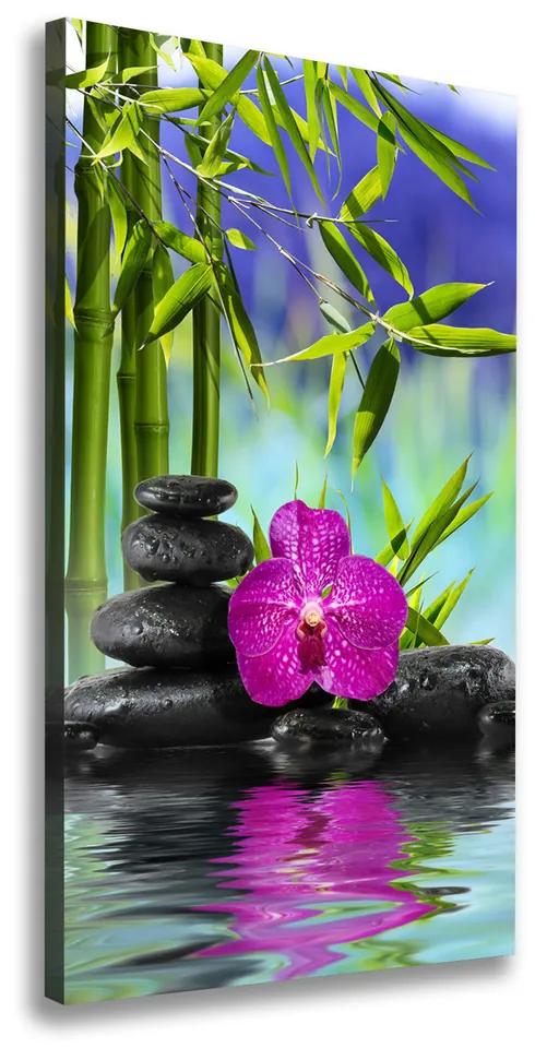 Wallmuralia Foto obraz na plátně Orchidej a bambus 50x100 cm