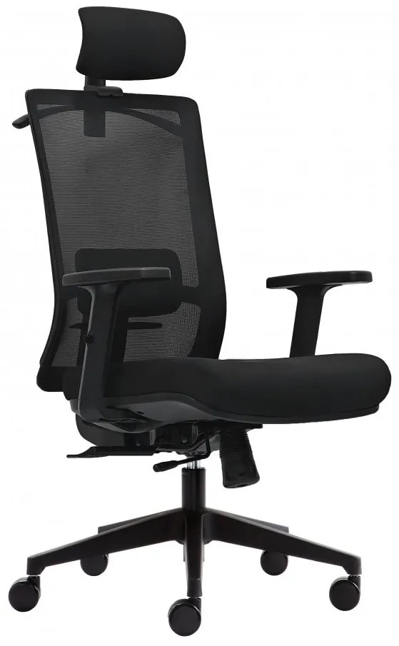 Office Pro Kancelářská ergonomická židle DVIS — více barev Černá