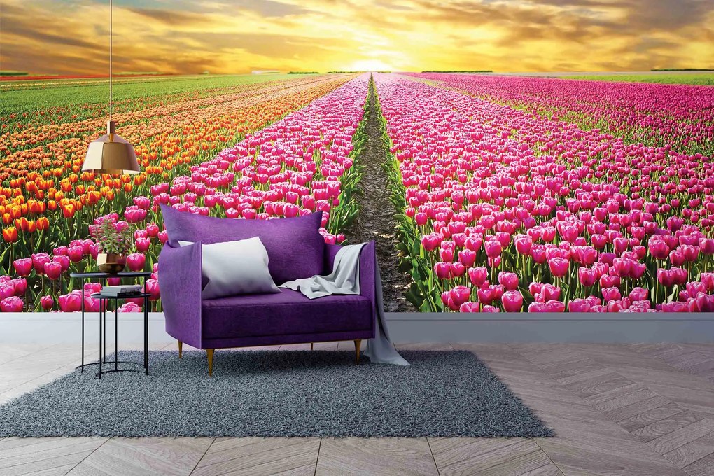 Malvis ® Tapeta Pole tulipánů Vel. (šířka x výška): 360 x 260 cm