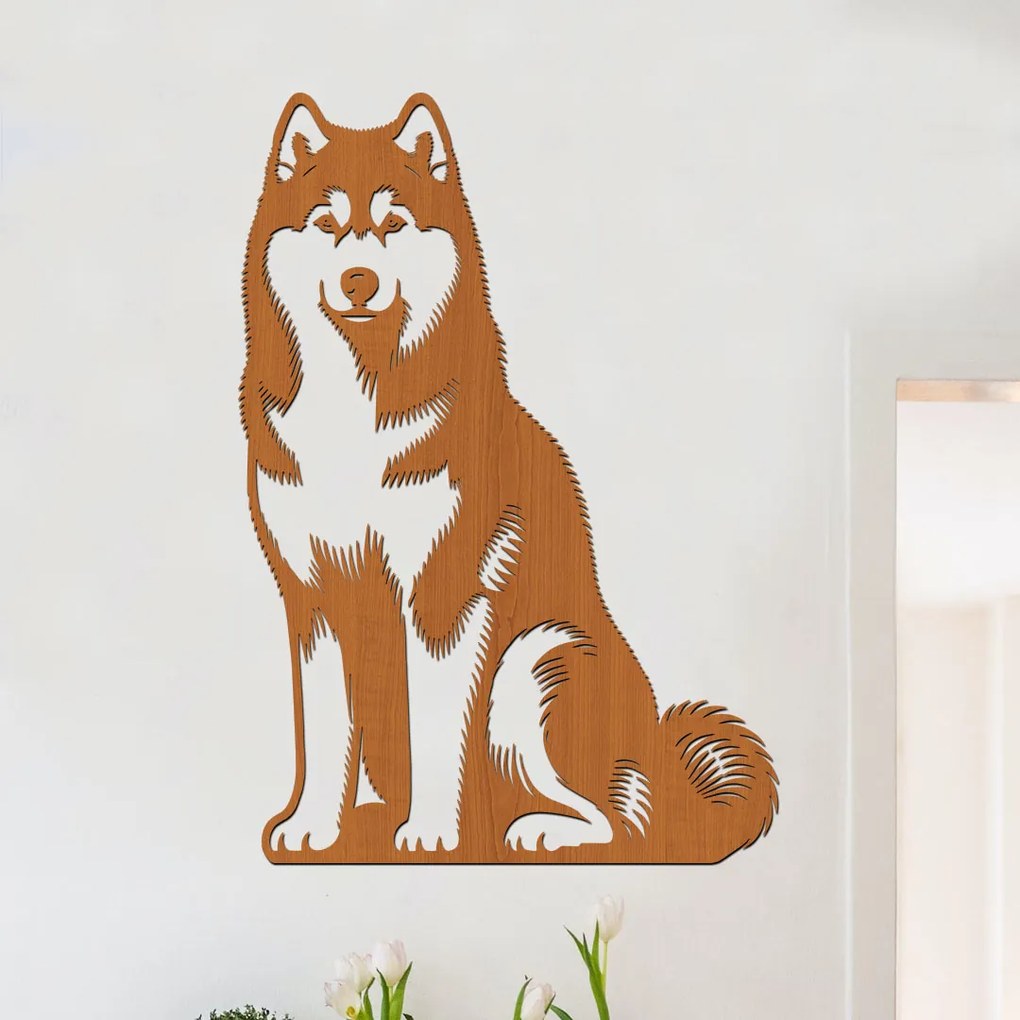 dřevo života Dřevěný obraz psa Husky Zvolte rozměr (cm): 42x60, Zvolte barvu dekoru: Bílá