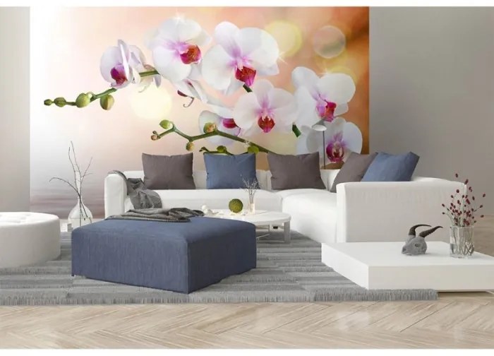 DIMEX | Samolepicí vliesová fototapeta na zeď Bílá orchidej MA-5-0147 | 375 x 250 cm | zelená, bílá, oranžová, růžová