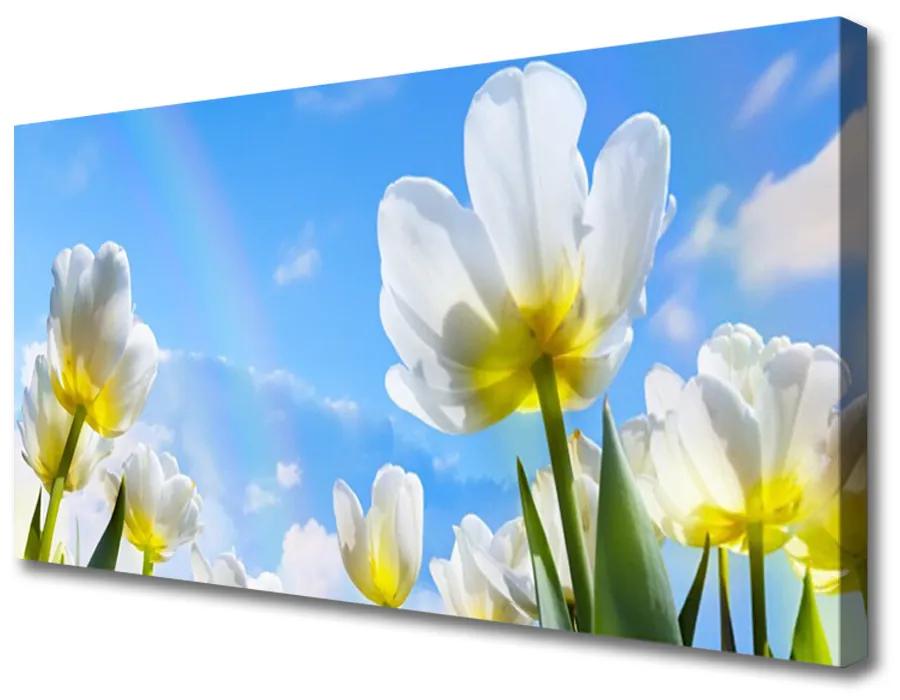 Obraz na plátně Rostliny Květiny Tulipány 100x50 cm