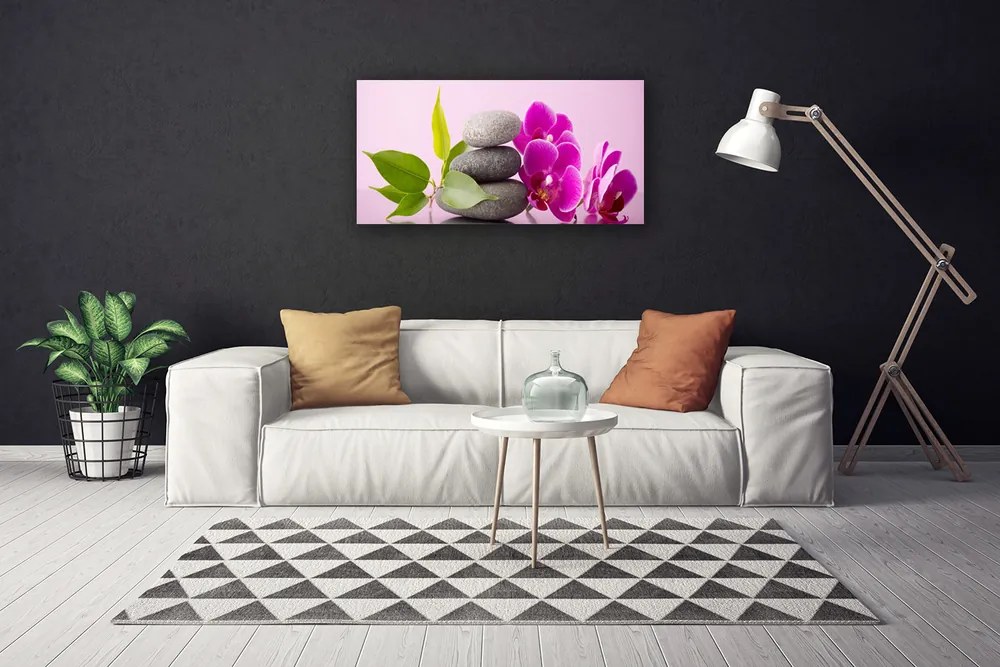 Obraz na plátně Orchidej Vstavač Kameny 100x50 cm