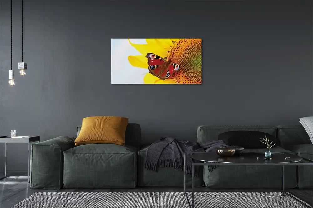 Obrazy na plátně slunečnice motýl 120x60 cm
