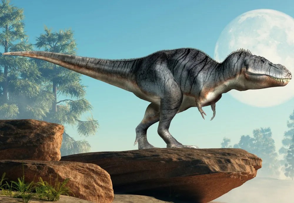 Fototapeta Dinosaurus Na Skalách Omyvatelný vlies 104x70.5