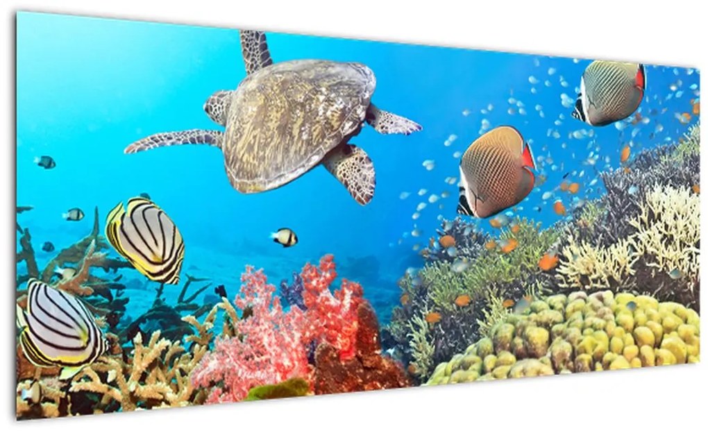 Podmořský svět, obraz (100x40cm)
