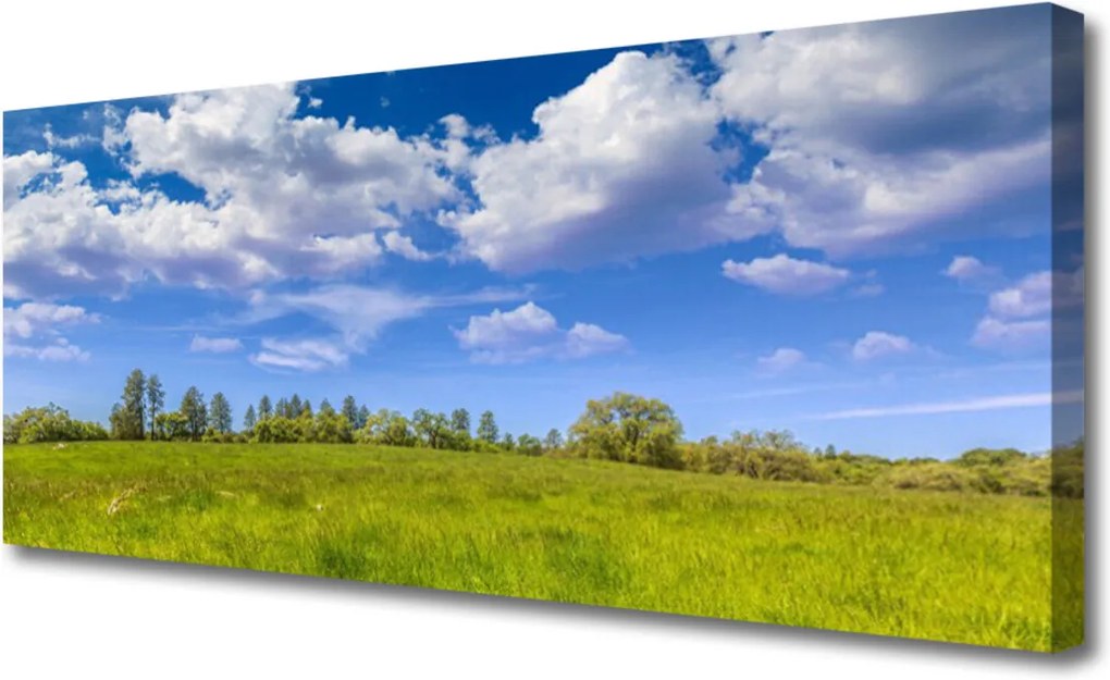 Obraz Canvas Louka Tráva Nebe Krajina