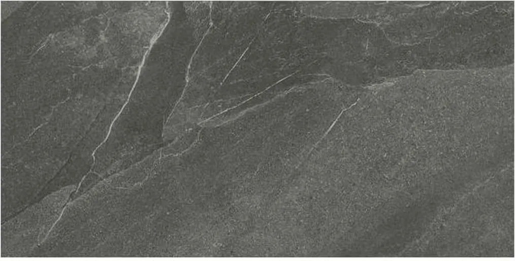 EBS Shale - Dlažba 60x120 cm, matná ash IMSL04BA