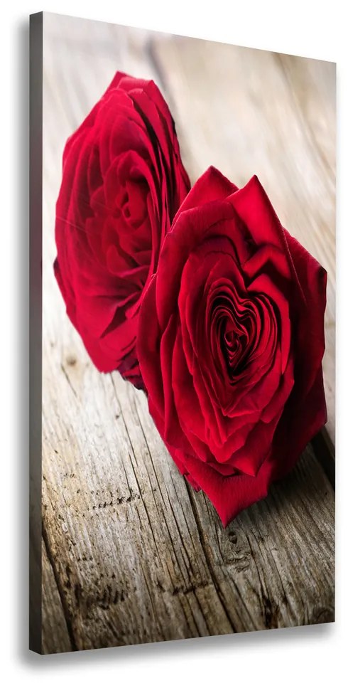 Wallmuralia Foto obraz na plátně Červené růže 60x120 cm