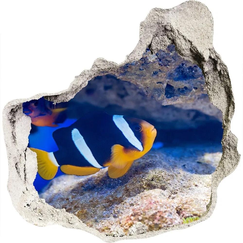 Wallmuralia Díra 3D fototapeta nálepka Tropická ryba 75x75 cm