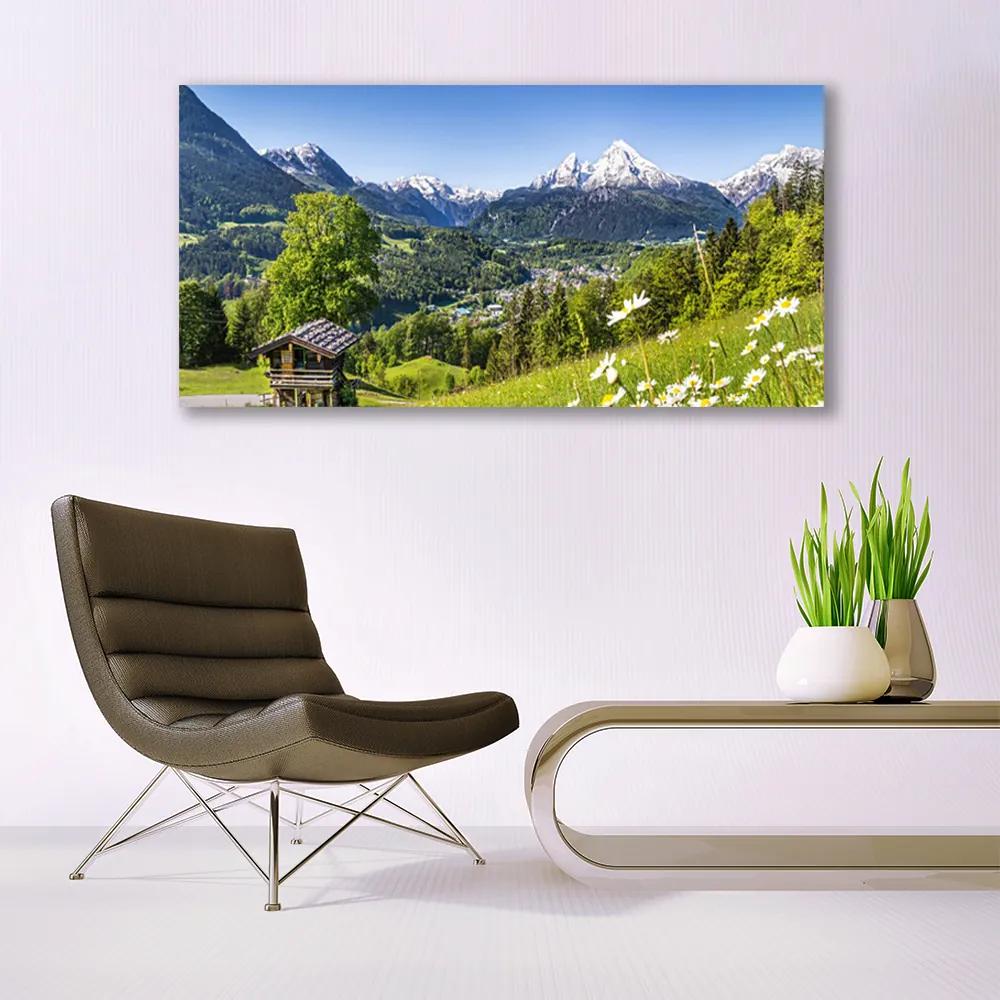 akrylový obraz Hora Pole Příroda 120x60 cm