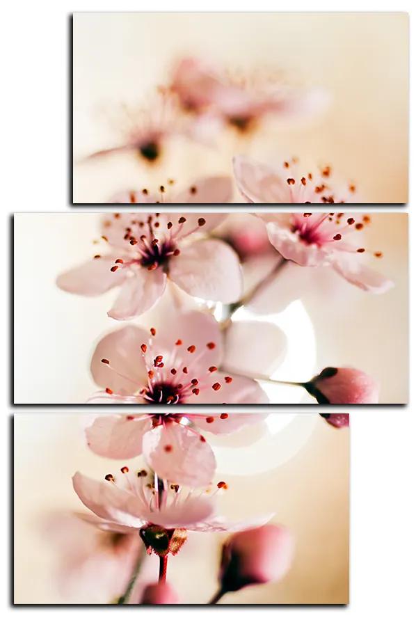 Obraz na plátně - Malé květy na větvi - obdélník 7173D (90x60 cm)