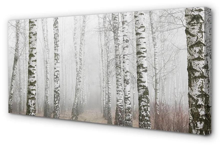 Obrazy na plátně mlha bříza 125x50 cm