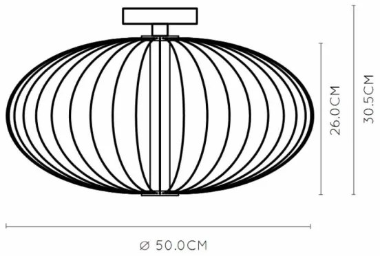 Lucide 20114/50/30 - LED Stmívatelné stropní svítidlo CARBONY LED/5W/230V