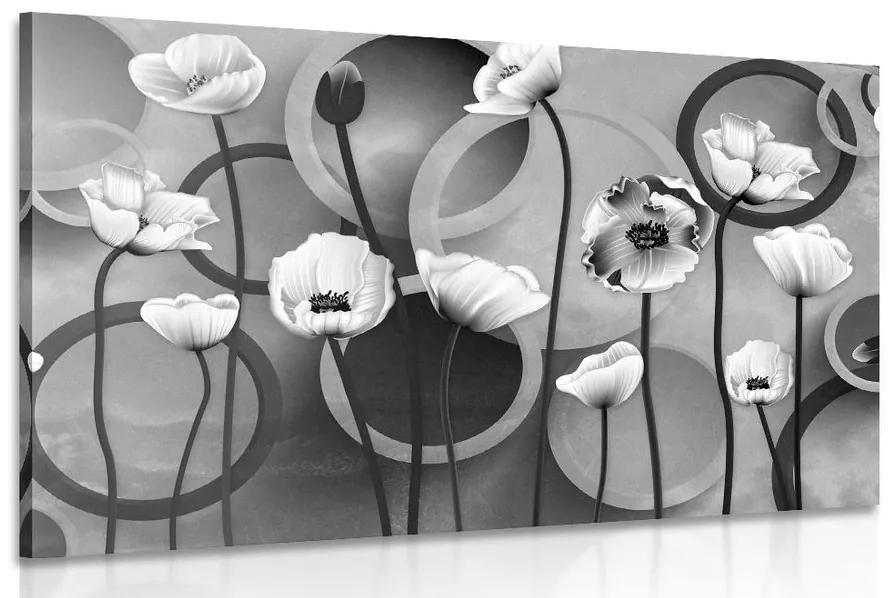 Obraz máky na abstraktním pozadí v černobílém provedení