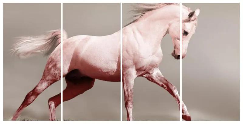 Obraz bílého koně v pohybu  (160x80 cm), 40 dalších rozměrů