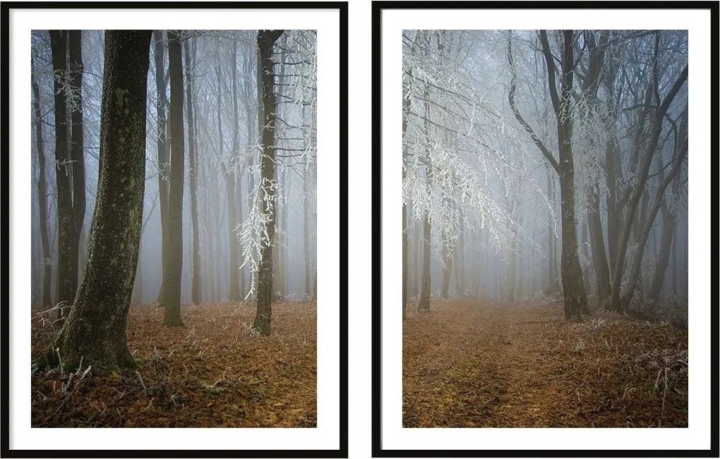 Obraz Plakáty V Rámu 53x73cm Diptych Sada 2 obrazů Podzimní les P2093