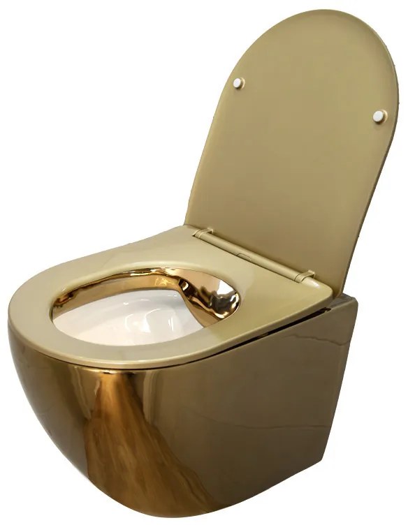 BPS-koupelny Závěsná WC mísa se SoftClose sedátkem HYD-4153, bílá/zlatá