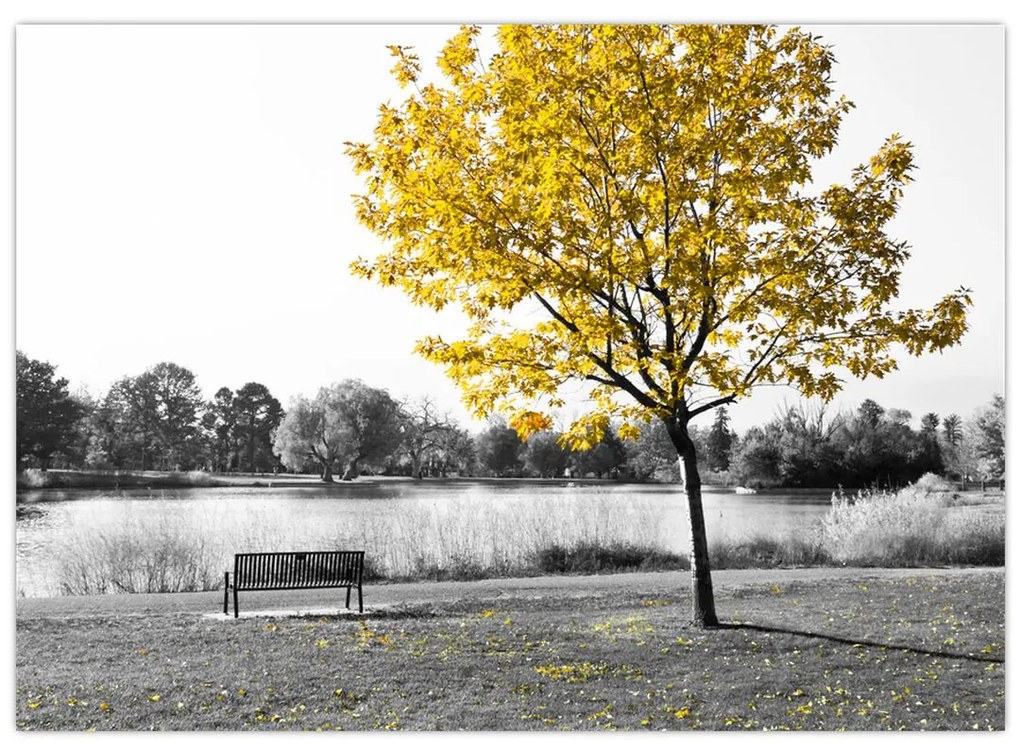 Skleněný obraz - Odpočinek v parku (70x50 cm)